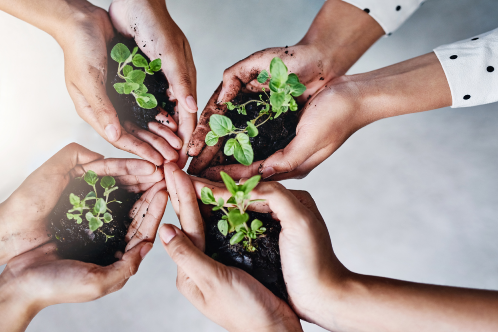 Sustainability Initiatives - Royal Plaza on Scotts